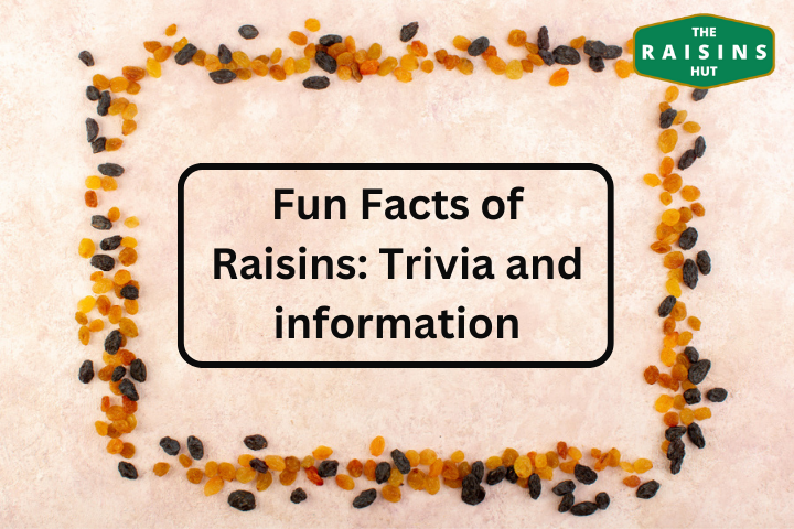 Fun Facts About Raisins: Trivia and Interesting Information – The ...